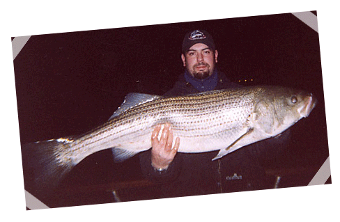 The Laura Lee Photo Gallery